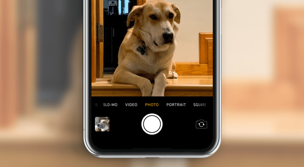 New Photo Gallery Tutorial For Angular React And Capacitor Ionic Blog